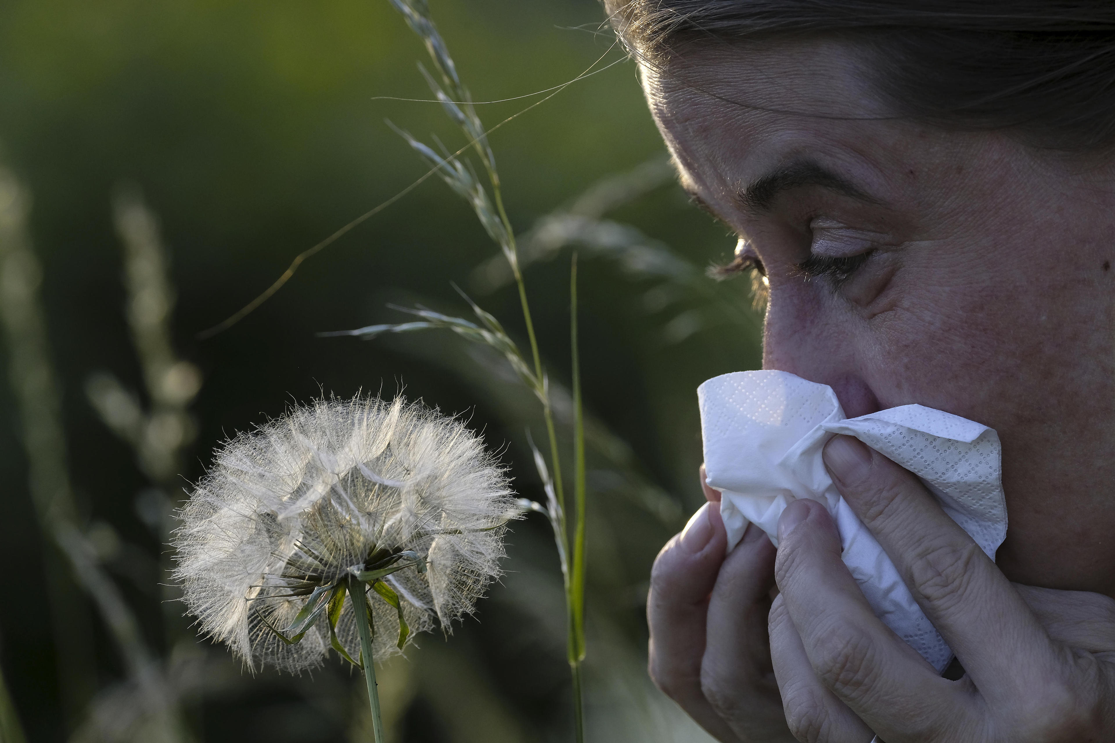 Hooikoortsseizoen gestart, ontdek in onze pollenbarometer welke pollen ...