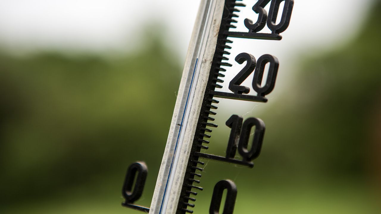 Temperatuurrecord februari verpulverd: historische 20 graden | VRT NWS ...