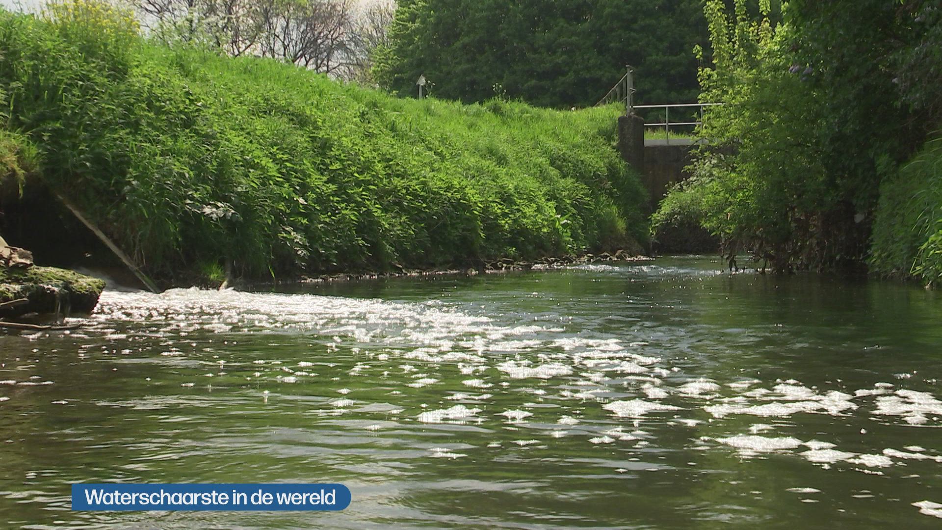 Extreme waterschaarste treft een kwart van de wereldbevolking, ook ...