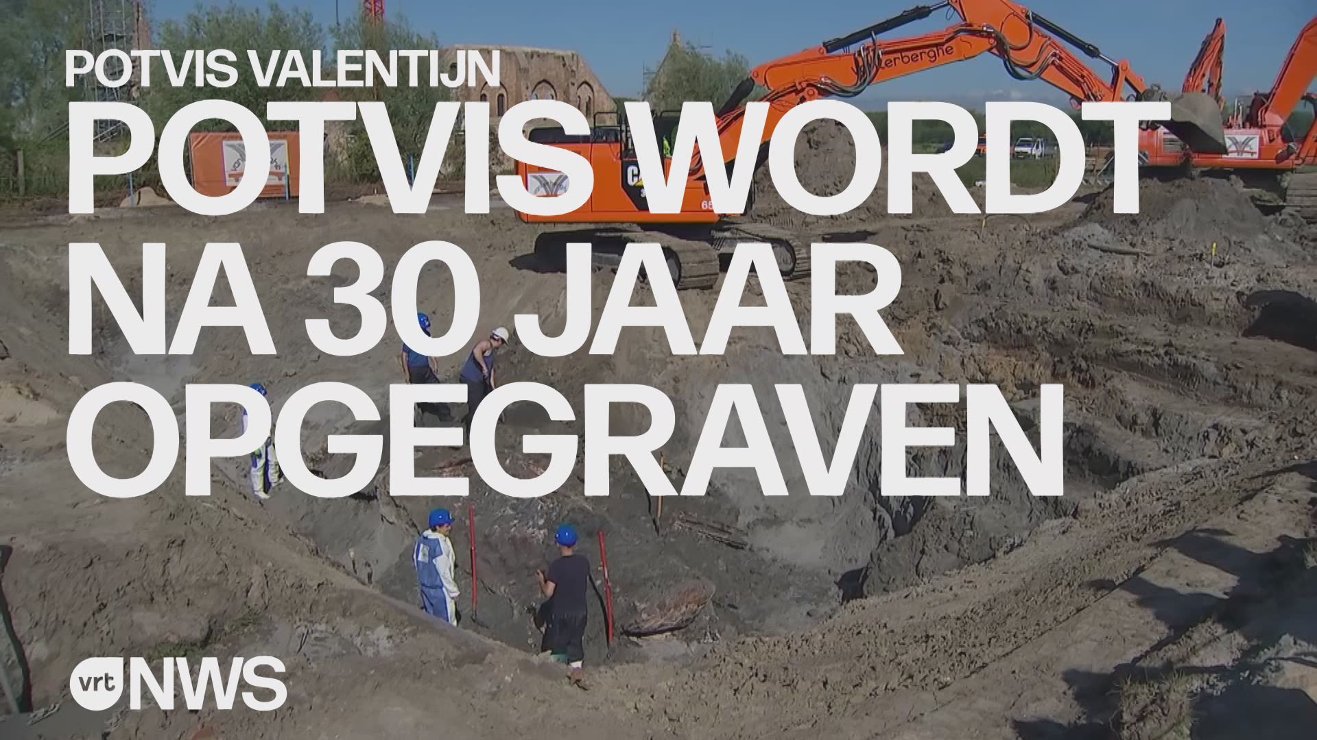 Skelet potvis Valentijn is bijna klaar: na 30 jaar bijna weer in ere ...