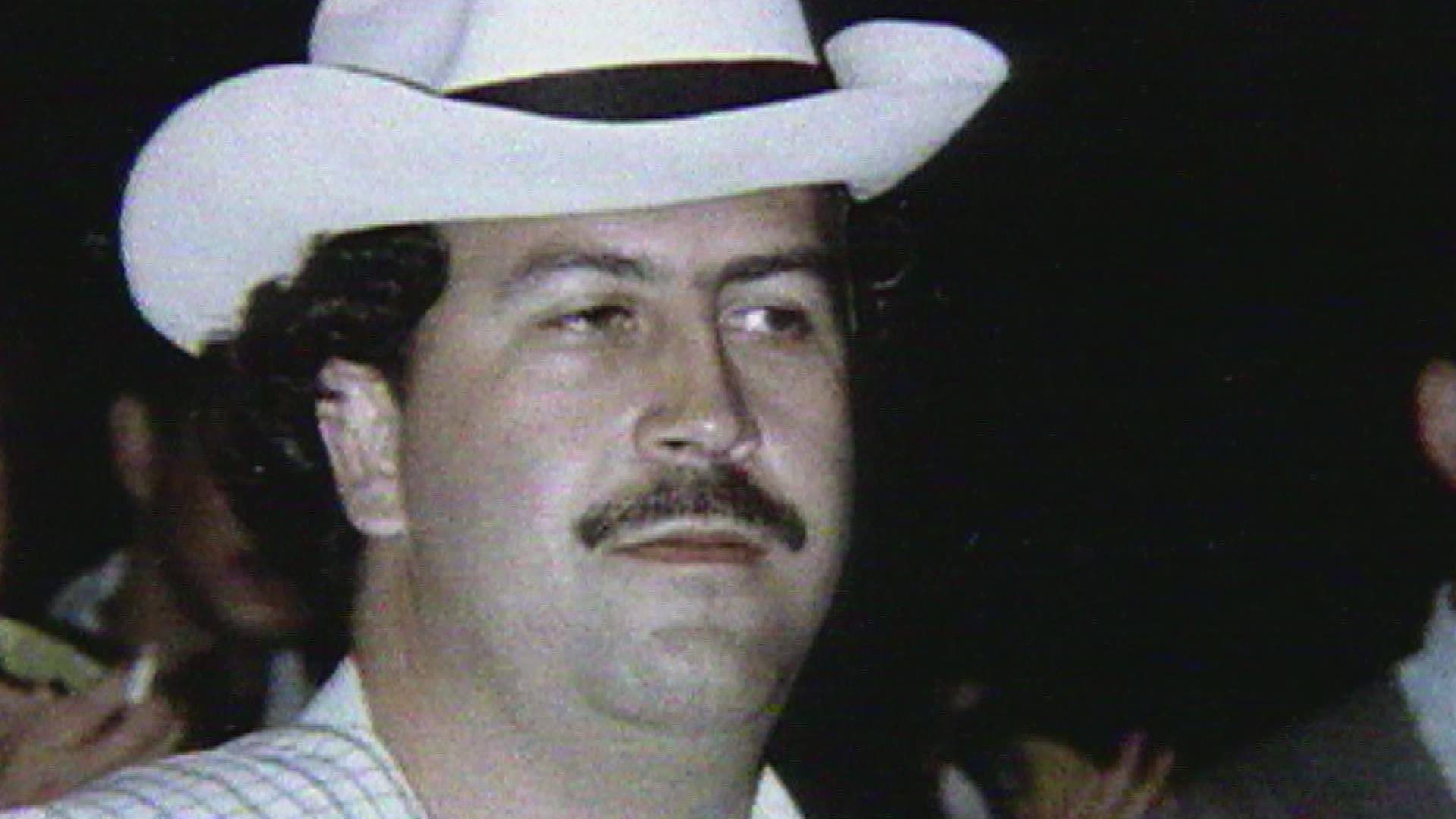 Nijlpaarden van Pablo Escobar moeten worden afgemaakt, zeggen ...