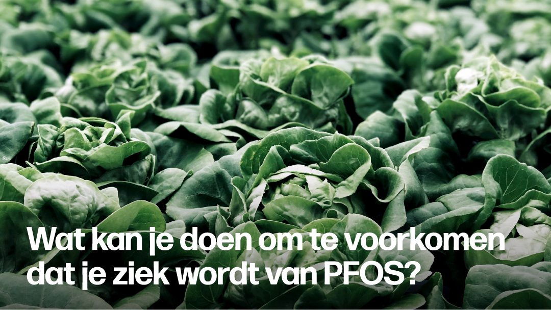 BEKIJK - Van de Oosterweelwerken tot je regenjas: PFOS is overal, maar ...