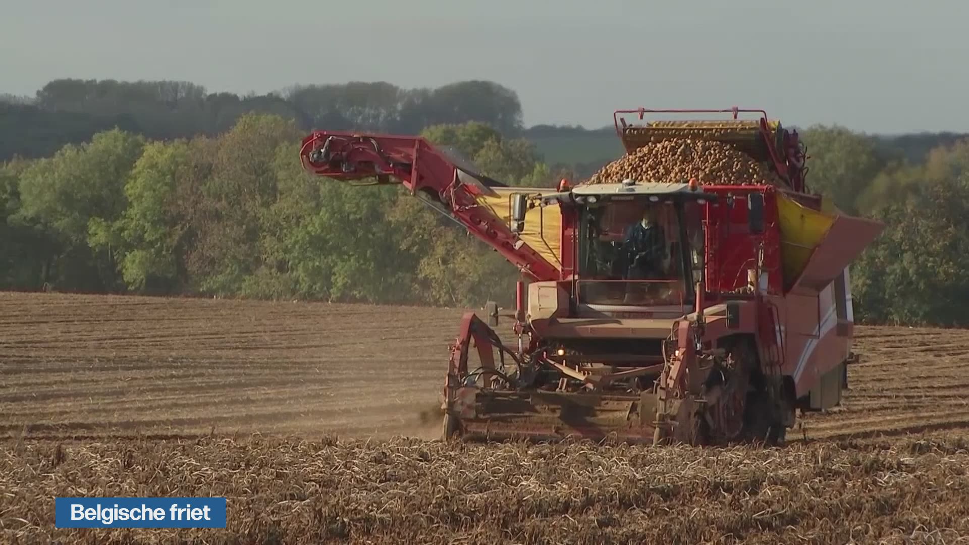 100 nieuwe jobs bij aardappelverwerkend bedrijf Agristo in Wielsbeke ...