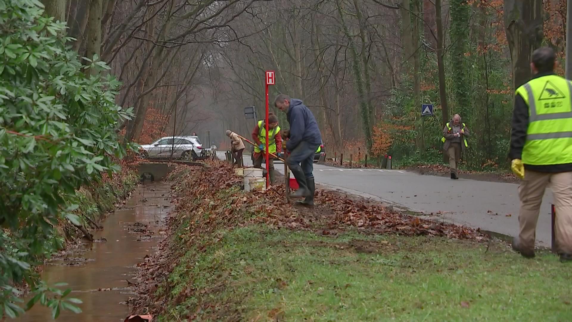 "Padden op de juiste plaats overgezet, super", Natuurpunt helpt ...