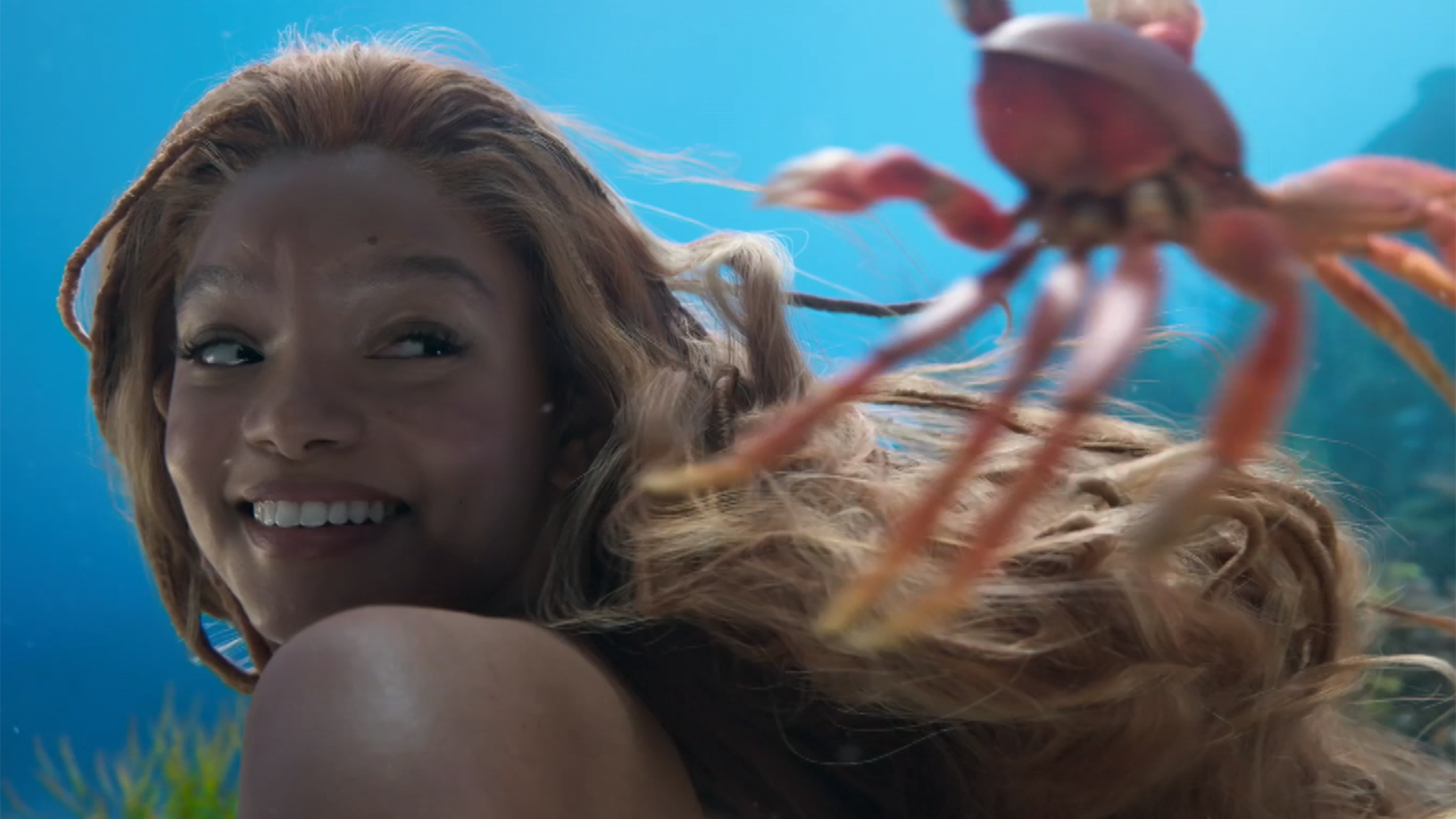 Ariël, Botje en Sebastiaan komen na meer dan 30 jaar boven water in ...