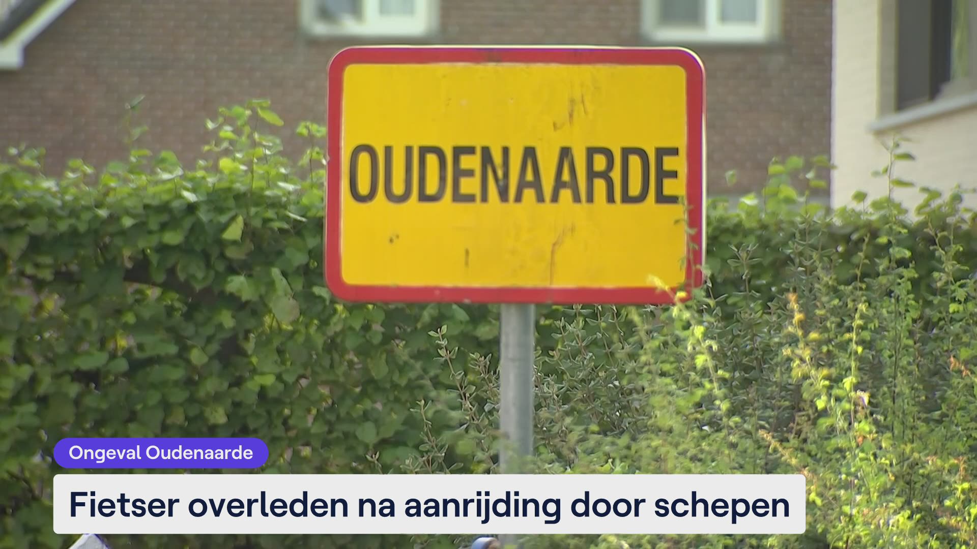 Schepen van Oudenaarde vrijgelaten onder voorwaarden na dodelijk ongeval met fietser: man had te ...