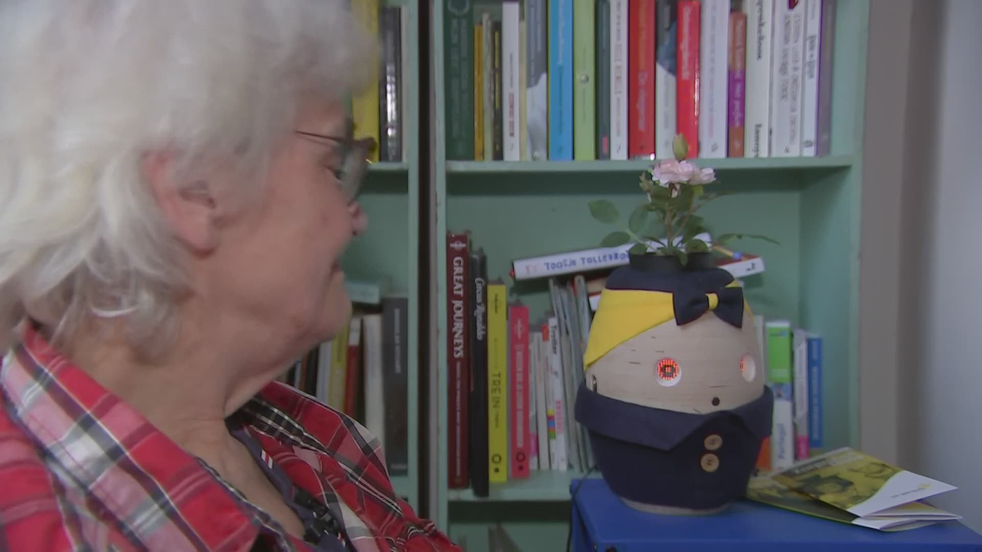 'Bloempotrobot' Tessa gaat ouderen in Antwerpen helpen na succesvol ...