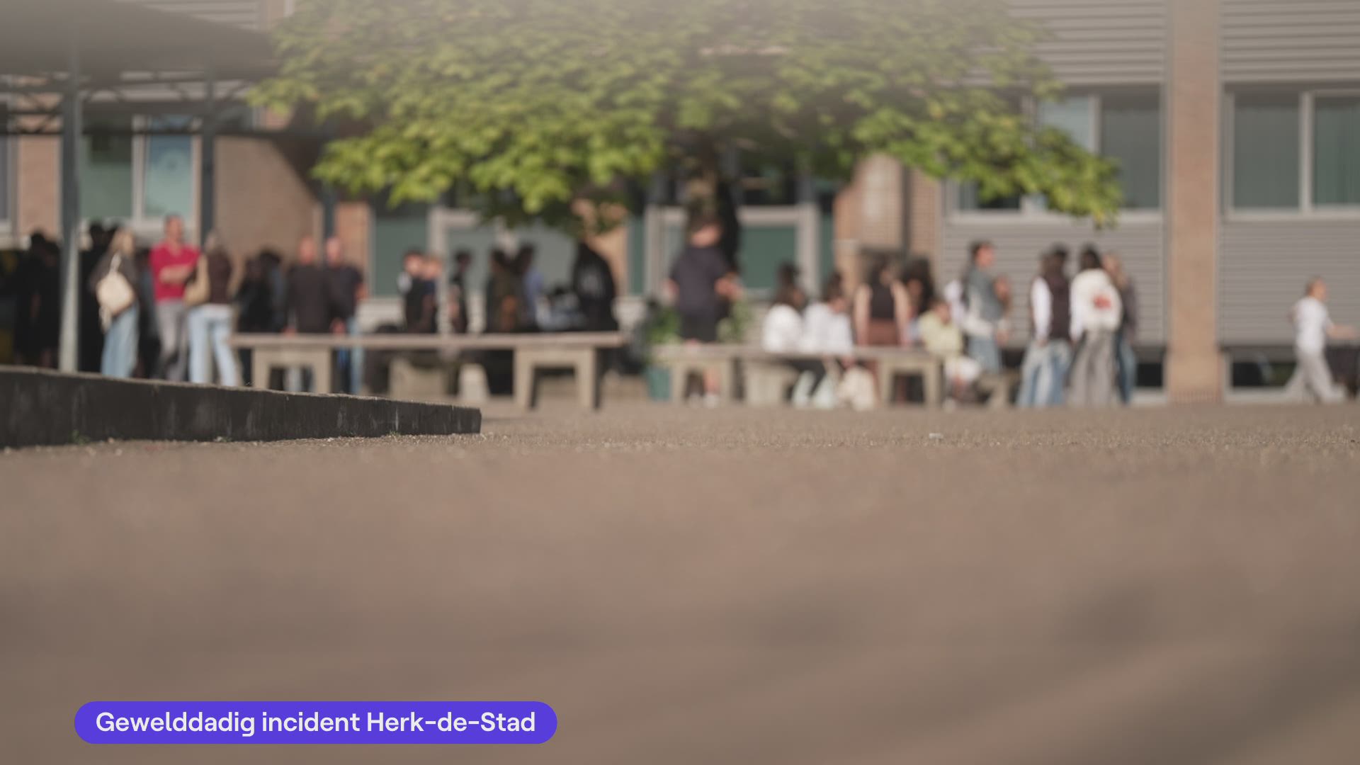3 leerlingen preventief geschorst na geweld tegen tiener in Herk-de-Stad, 1 minderjarige ...