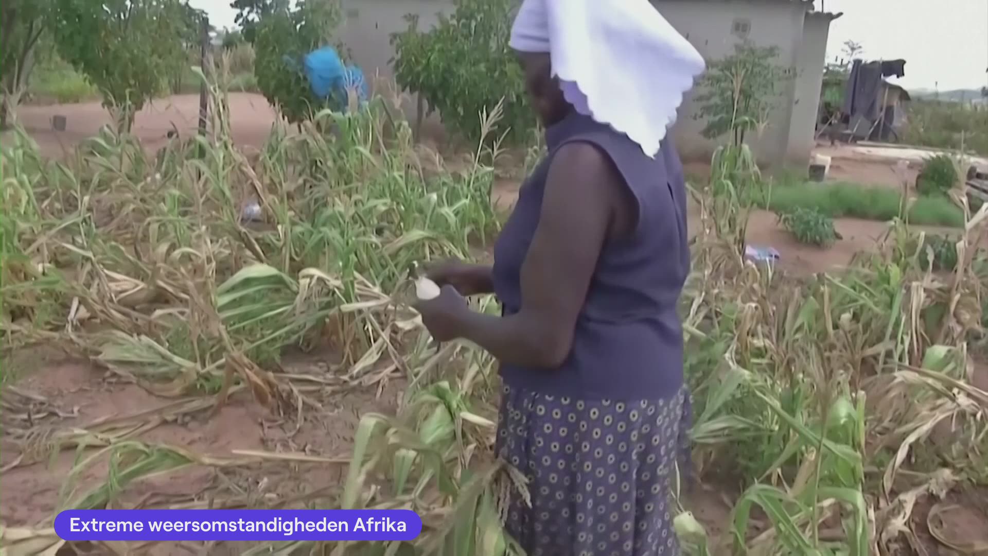 Catastrofe in Zuidelijk Afrika: hongersnood treft 27 miljoen mensen | VRT NWS: nieuws