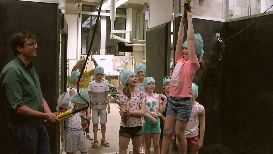 Programmagids van VRT 1 | VRT MAX