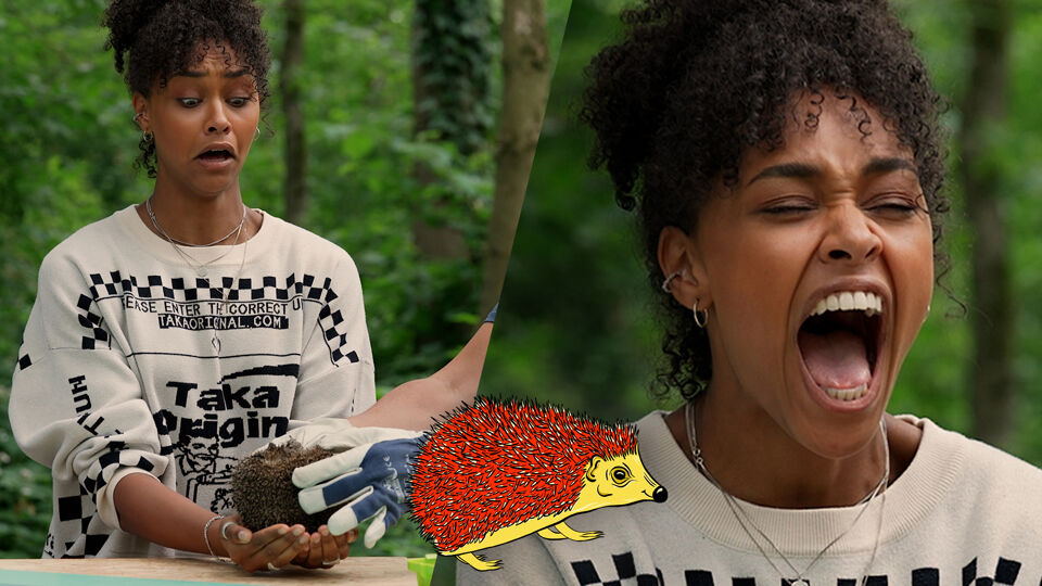 Programmagids van VRT 1 | VRT MAX