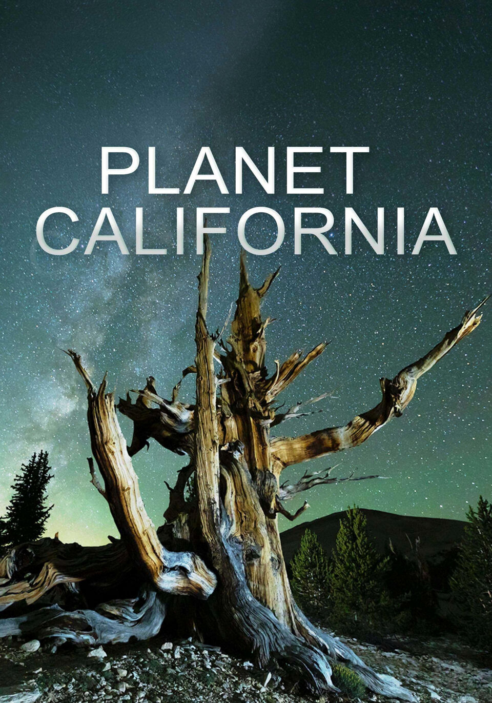 Documentaires en reportages | VRT MAX | VRT MAX