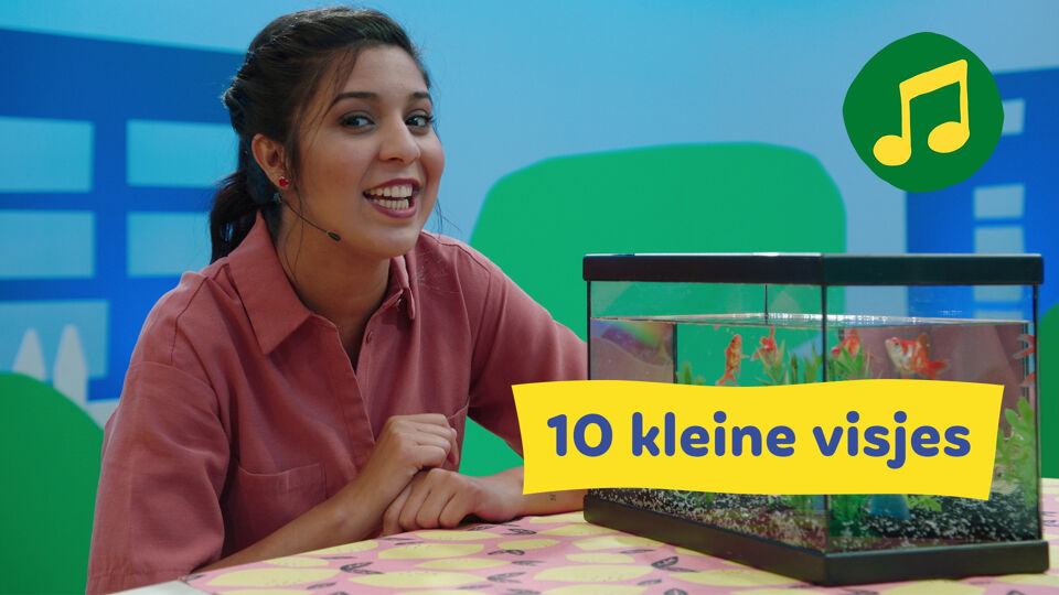 Programmagids van Ketnet | VRT MAX