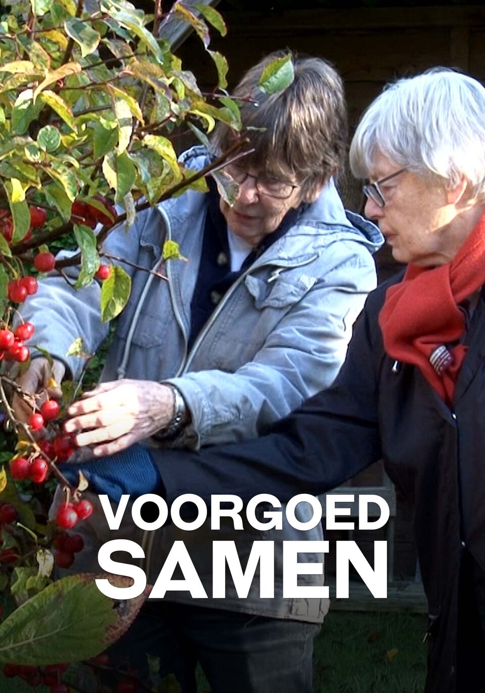 Documentaires en reportages | VRT MAX | VRT MAX