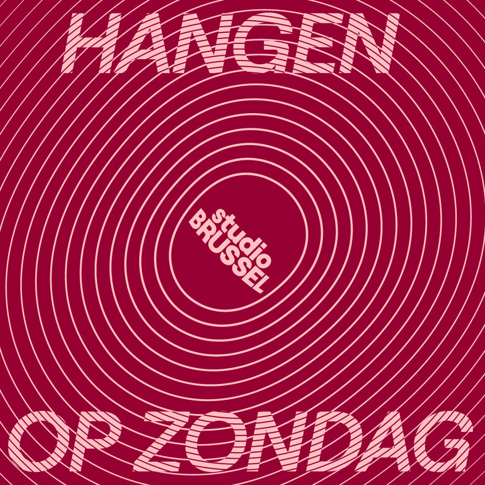 Programmagids van Studio Brussel | VRT MAX