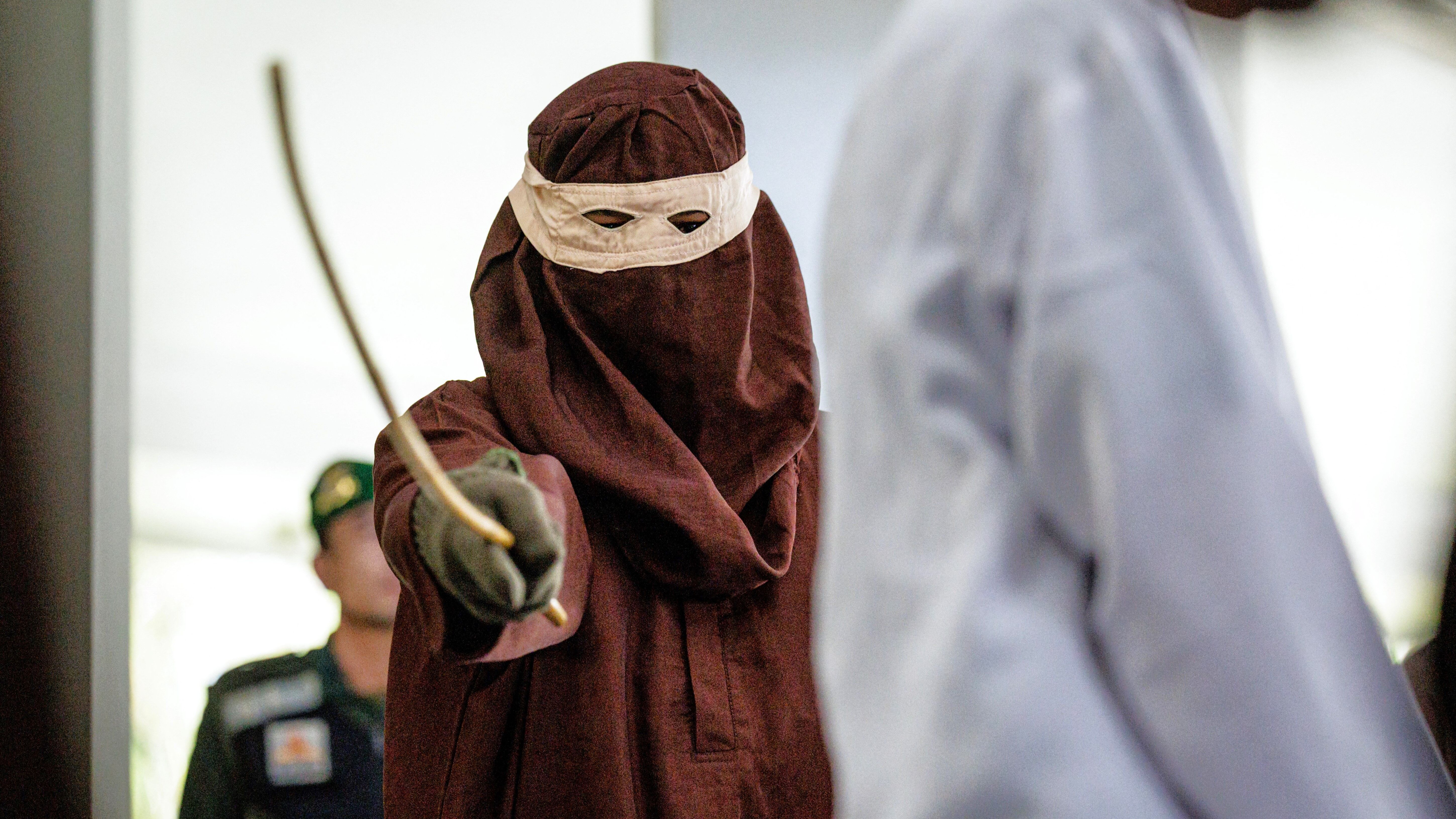 Pinguïn Hera met koudwatervrees, krijgt zwemlessen in Pairi Daiza | VRT NWS: nieuws