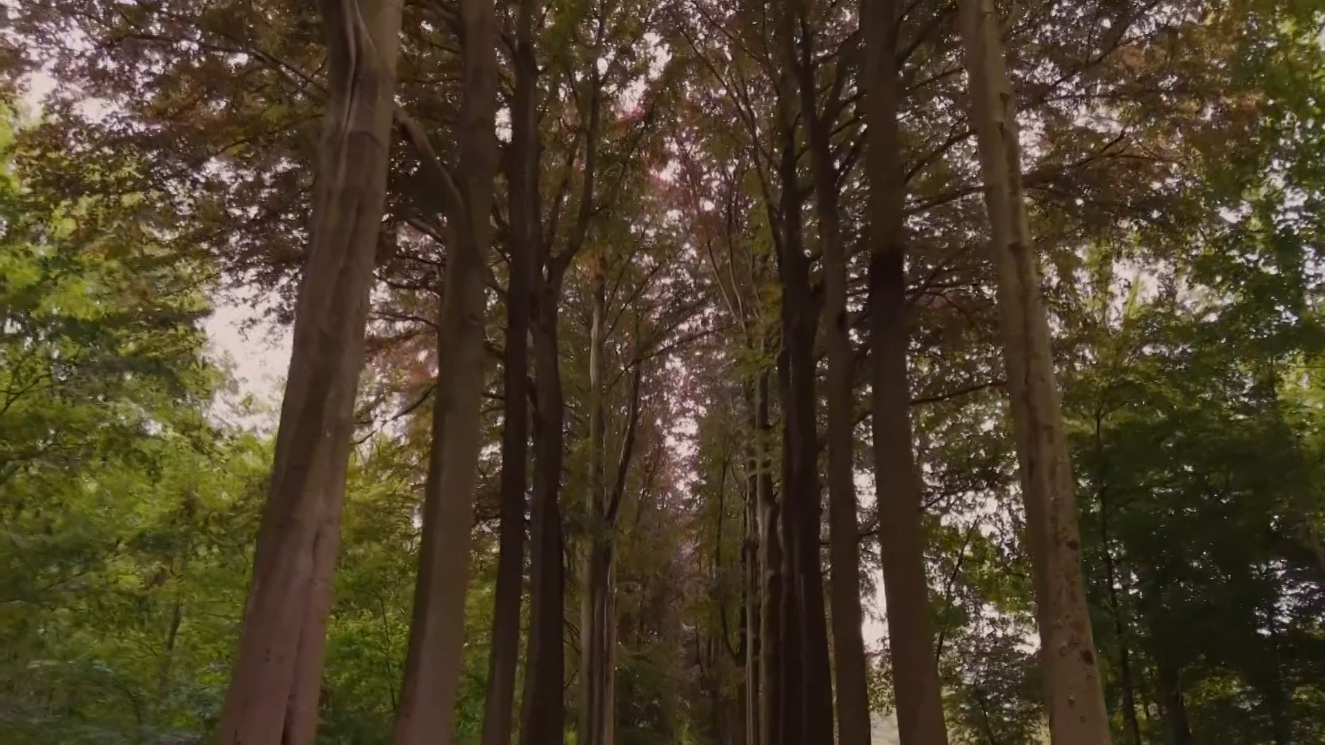 "Surreëel": Belgische metalband Amenra speelt 5 avonden de Brusselse AB plat | VRT NWS: nieuws