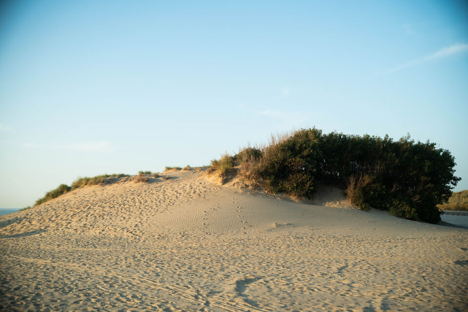 Met Klara op pad: Van Westende naar Oostende | VRT MAX