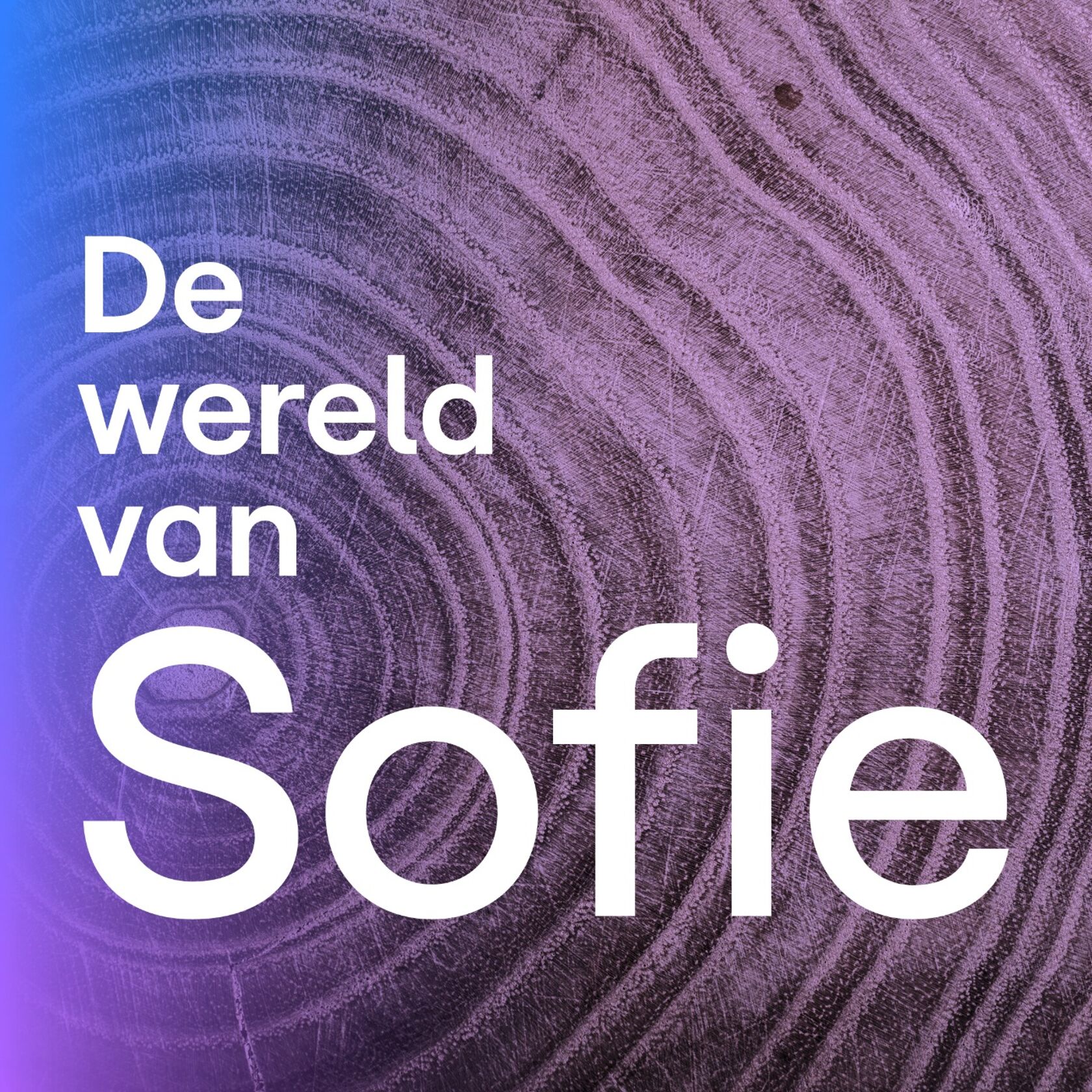 Most Wanted - De Wereld van Sofie [Podcast] | VRT MAX