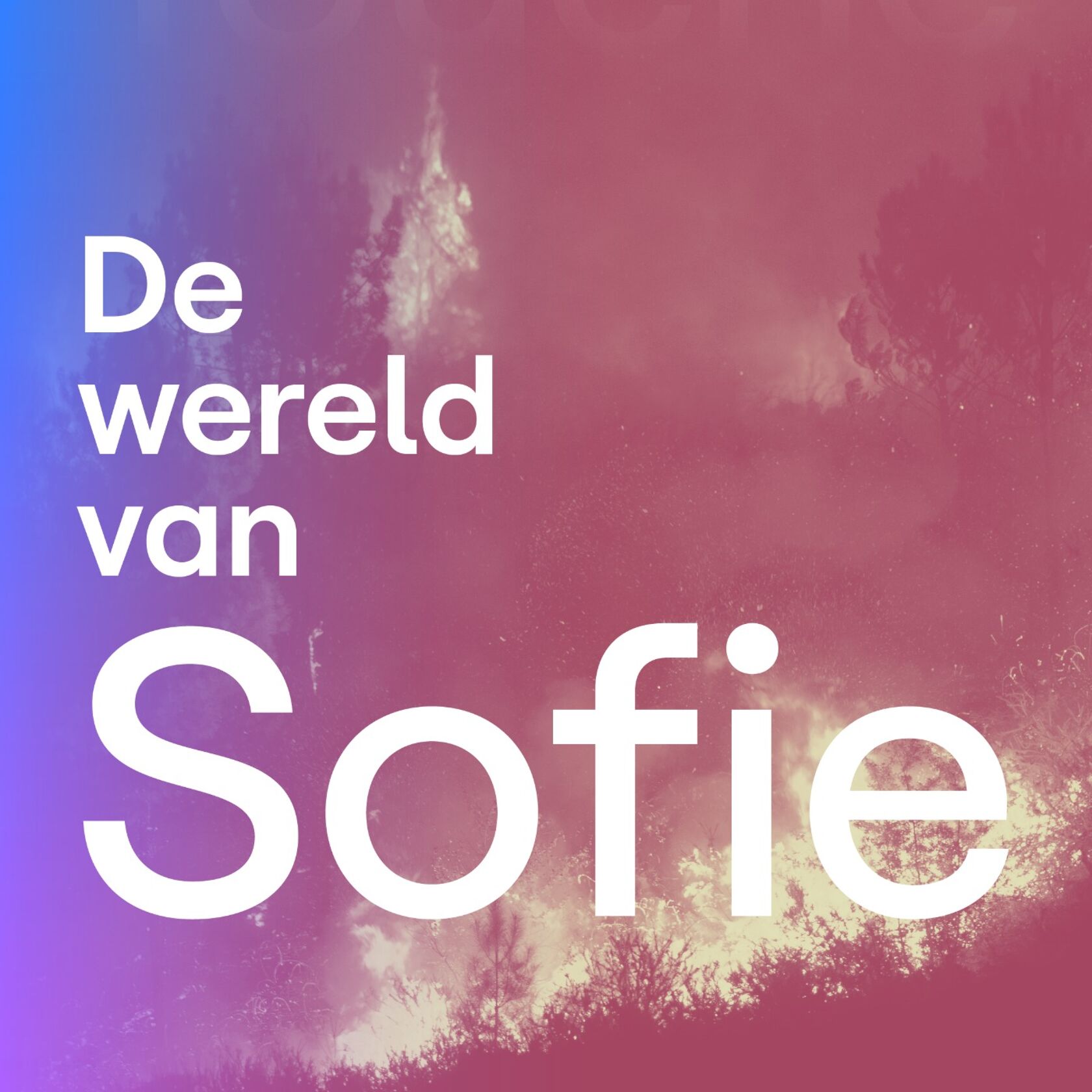 Most Wanted - De Wereld van Sofie [Podcast] | VRT MAX