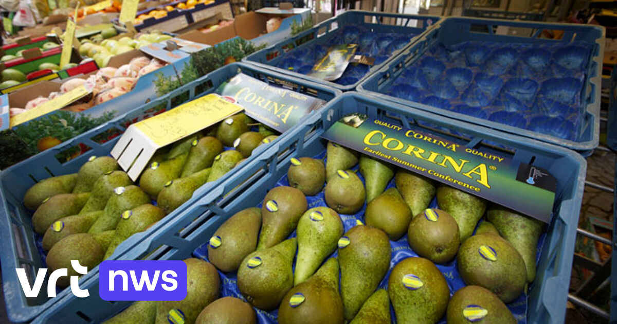 Growing demand for Belgian pears in China | VRT NWS: news
