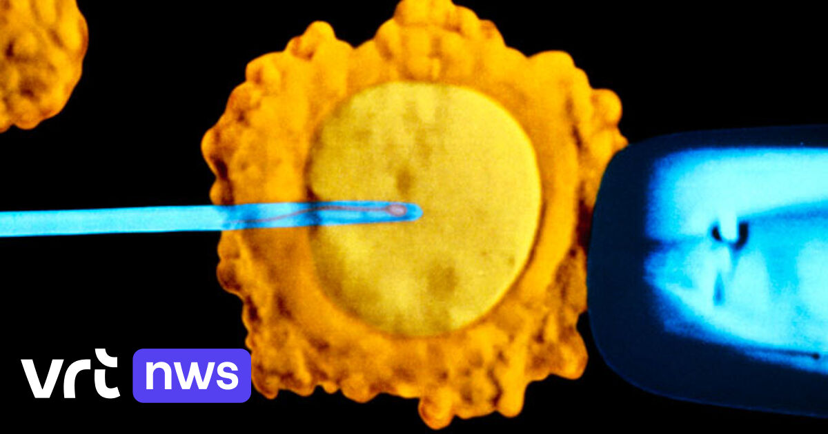 1 op de 15 baby's geboren na ivf-behandeling | VRT NWS: nieuws