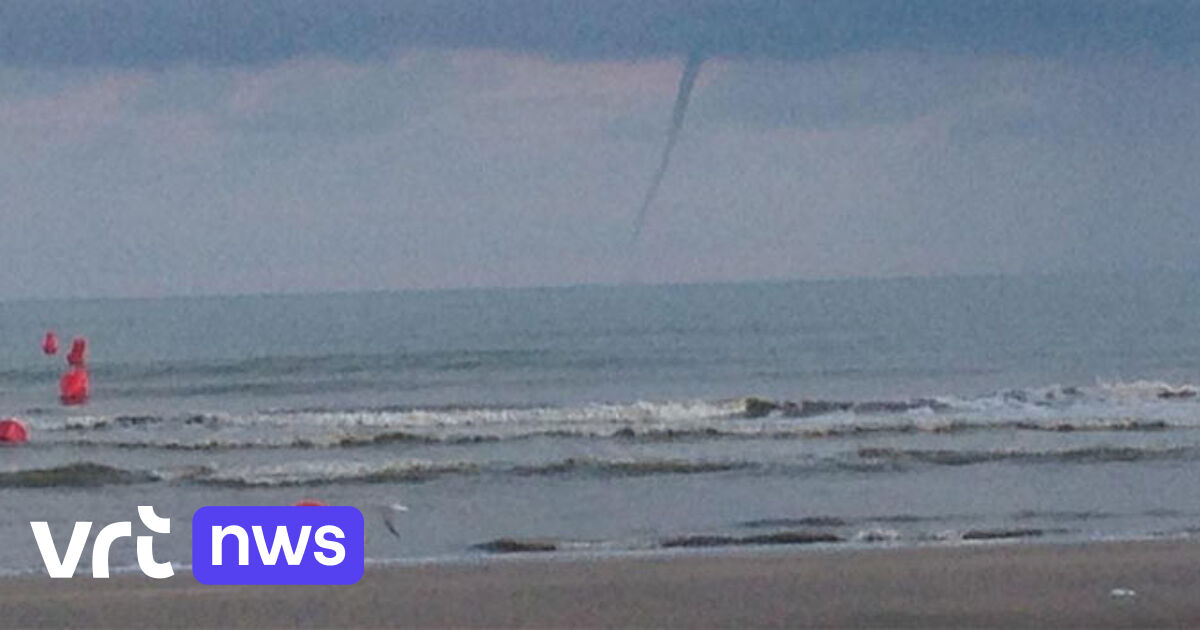 Waterhozen aan de kust gesignaleerd | VRT NWS: nieuws