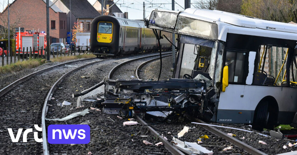 Buschauffeur komt om bij botsing met trein aan overweg in Pittem | VRT ...