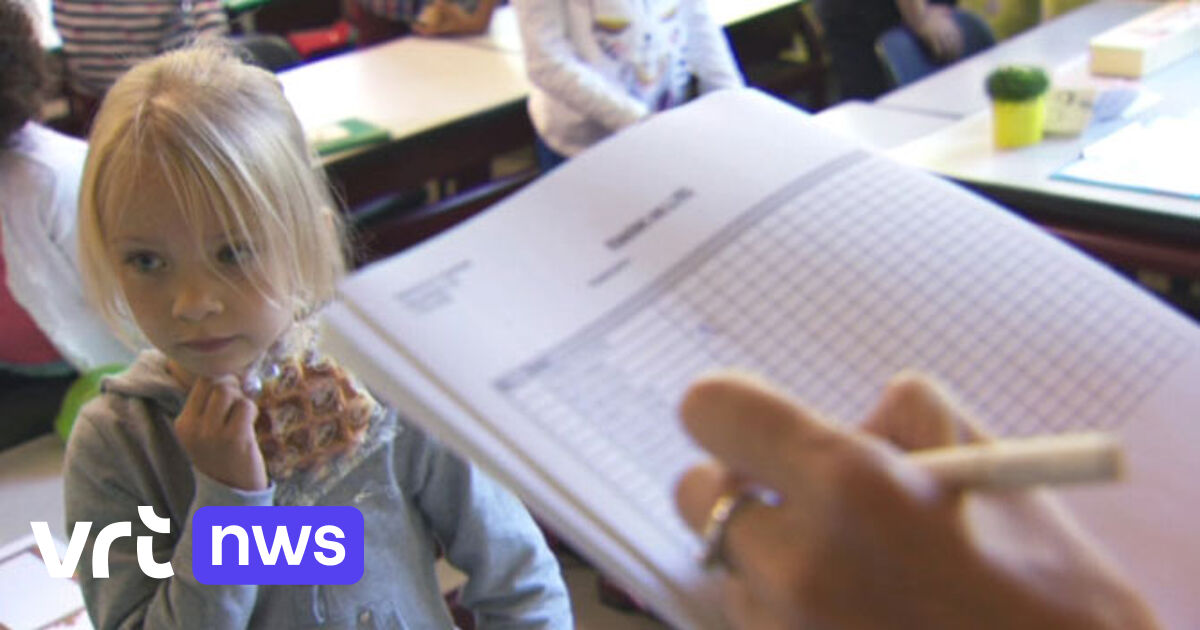 "Verlaag de leerplicht naar vijf jaar" | VRT NWS: nieuws