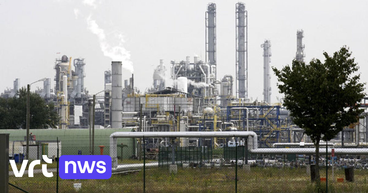 Plannen voor nieuwe fabriek bij BASF Antwerpen | VRT NWS: nieuws