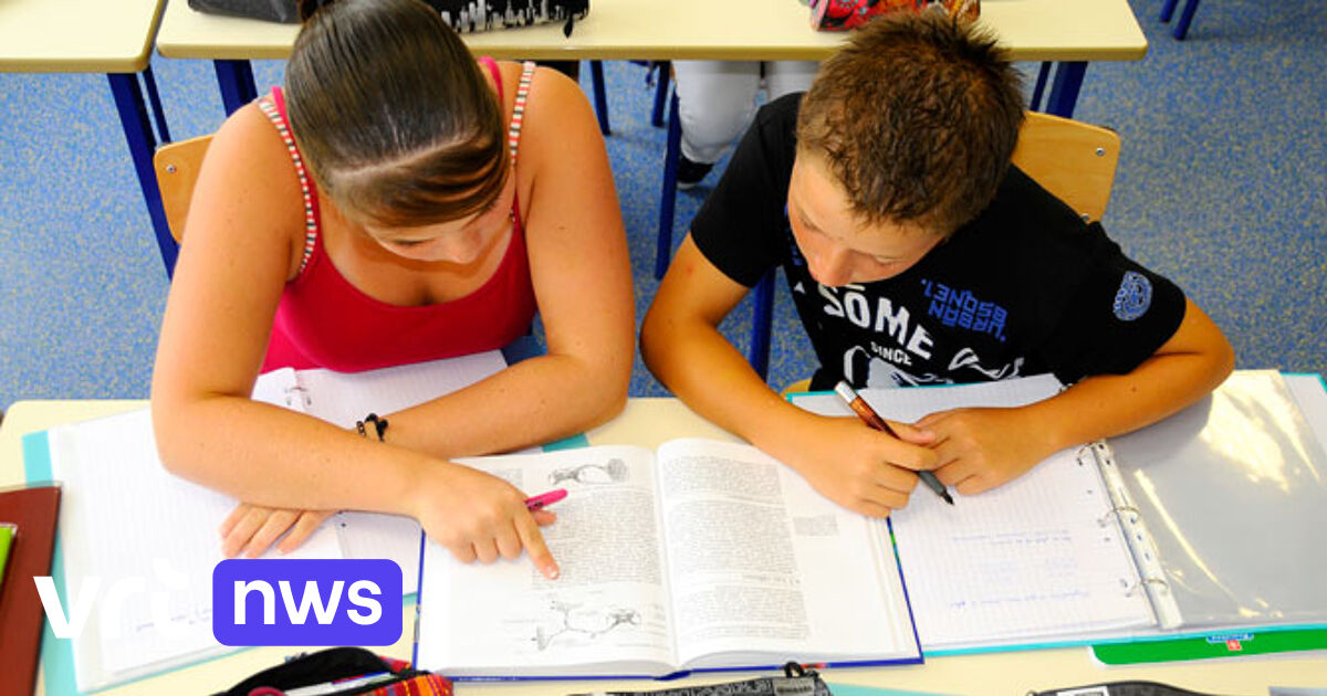 Website toont beste studierichting voor verdere studies aan | VRT NWS ...