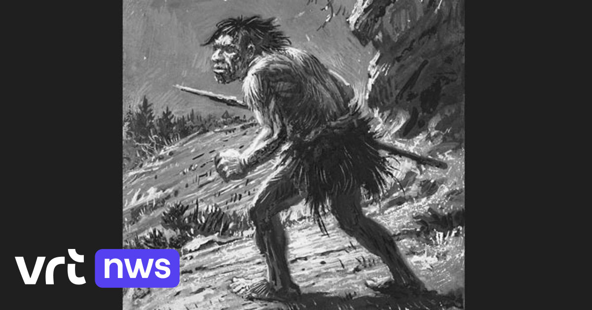 Kannibalisme niet de meest voedzame keuze voor neanderthaler | VRT NWS ...