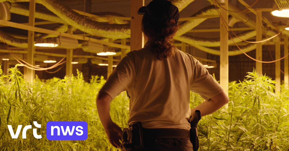 Peter Van Den Begin en Mathias Sercu in derde seizoen "Eigen kweek" | VRT NWS: nieuws