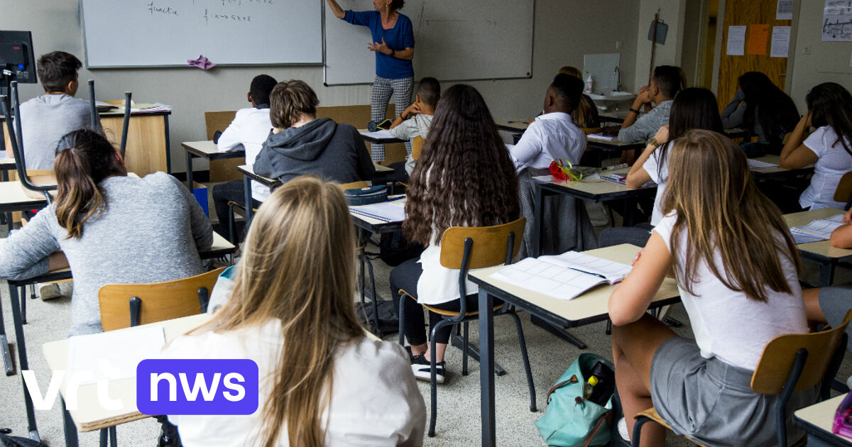 Onderwijsnetten: "Succes op school gaat over veel meer dan taal alleen ...