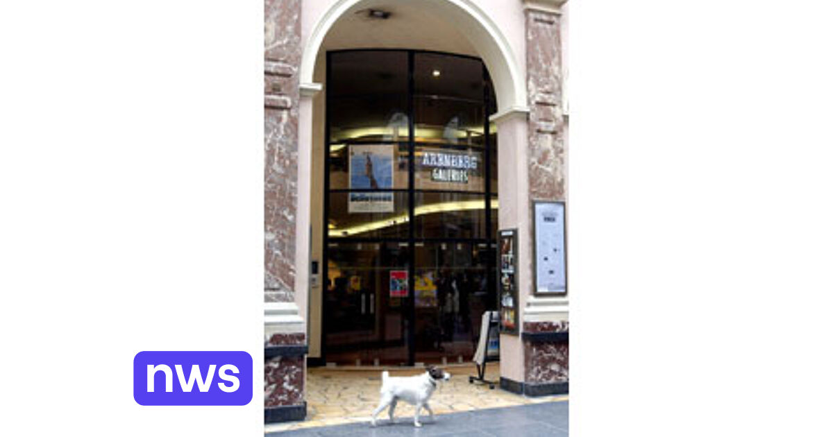 Cinema Arenberg sluit definitief deuren | VRT NWS Nieuws
