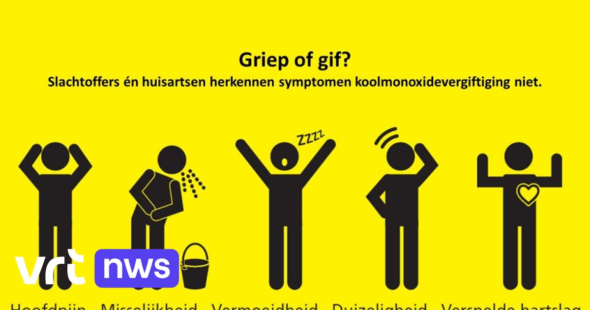 Griep of CO-vergiftiging? Ook dokters weten het soms niet | VRT NWS: nieuws