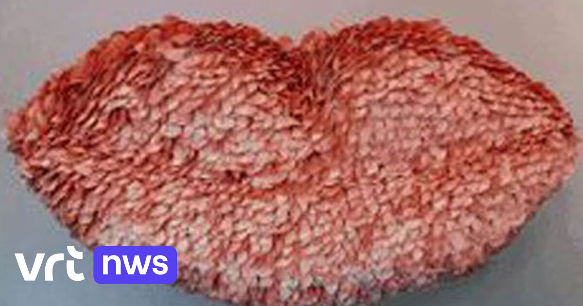 Van Beirendonck onthult kunstwerk "Walking lips" | VRT NWS: nieuws