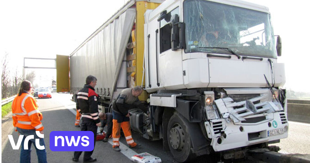 Lange file door kop-staartaanrijding op E313 | VRT NWS: nieuws