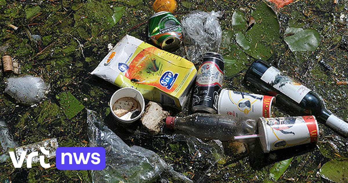 "Zwerfvuil kost Vlaanderen minstens een half miljard" | VRT NWS: nieuws
