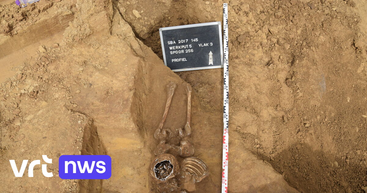 Grafveld ontdekt bij archeologische opgravingen in Koninksem | VRT NWS: nieuws