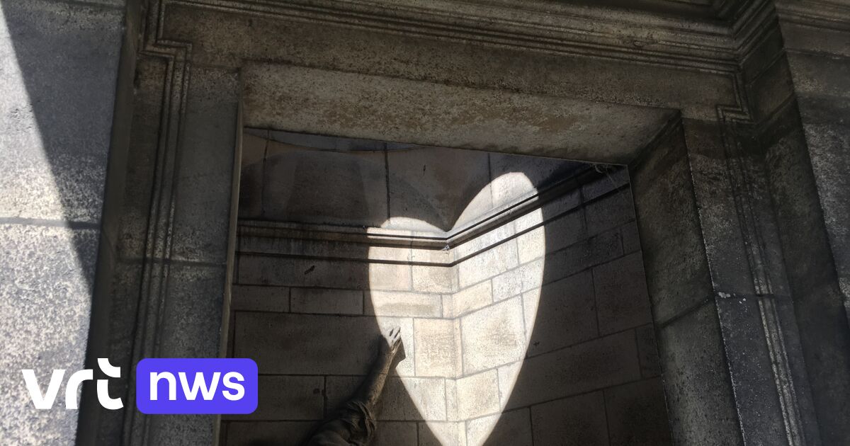 Hoogstens 1 keer per jaar verschijnt er op het kerkhof van Laken een ...