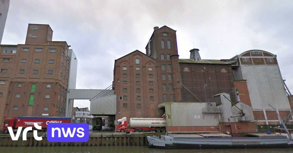 Dossche Mills Deinze sluit afdeling: 38 werknemers verliezen baan | VRT ...
