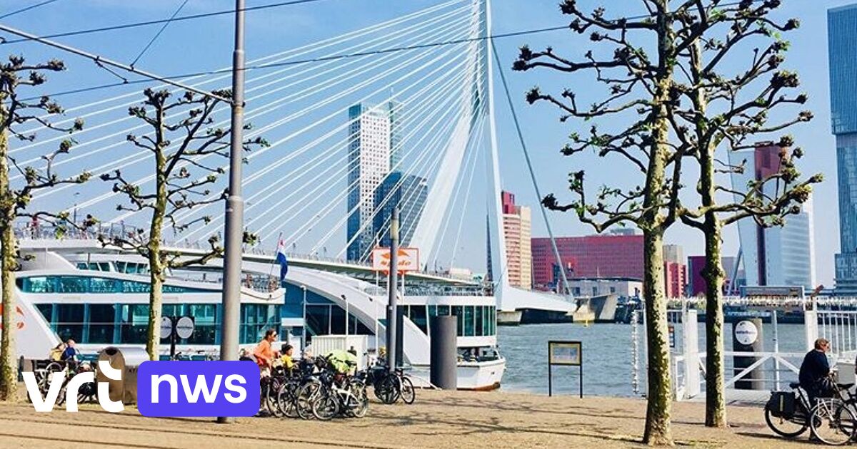 Rotterdam klimaatneutraal maken tegen 2050 kost 11 miljard | VRT NWS Nieuws