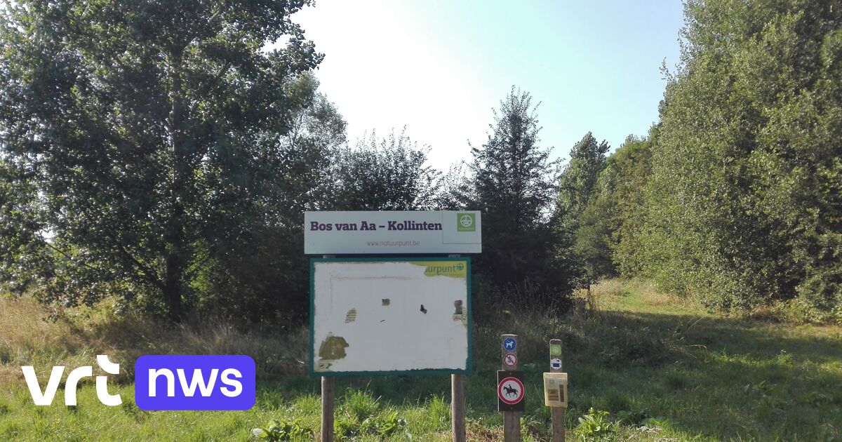 Bos van Aa wordt zeven keer zo groot | VRT NWS: nieuws
