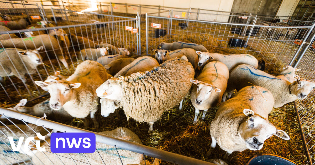 European Court of Human Rights has no issues with ban on the ritual ...
