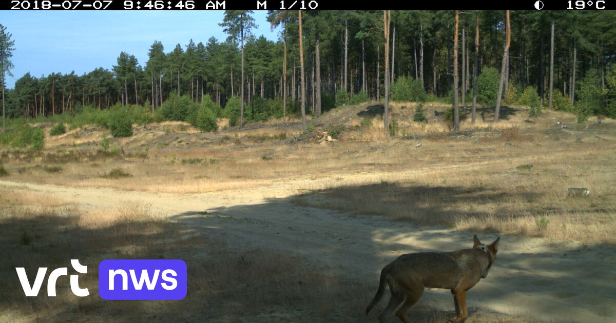 Eerste kleurenfoto's van Naya en ... August | VRT NWS: nieuws