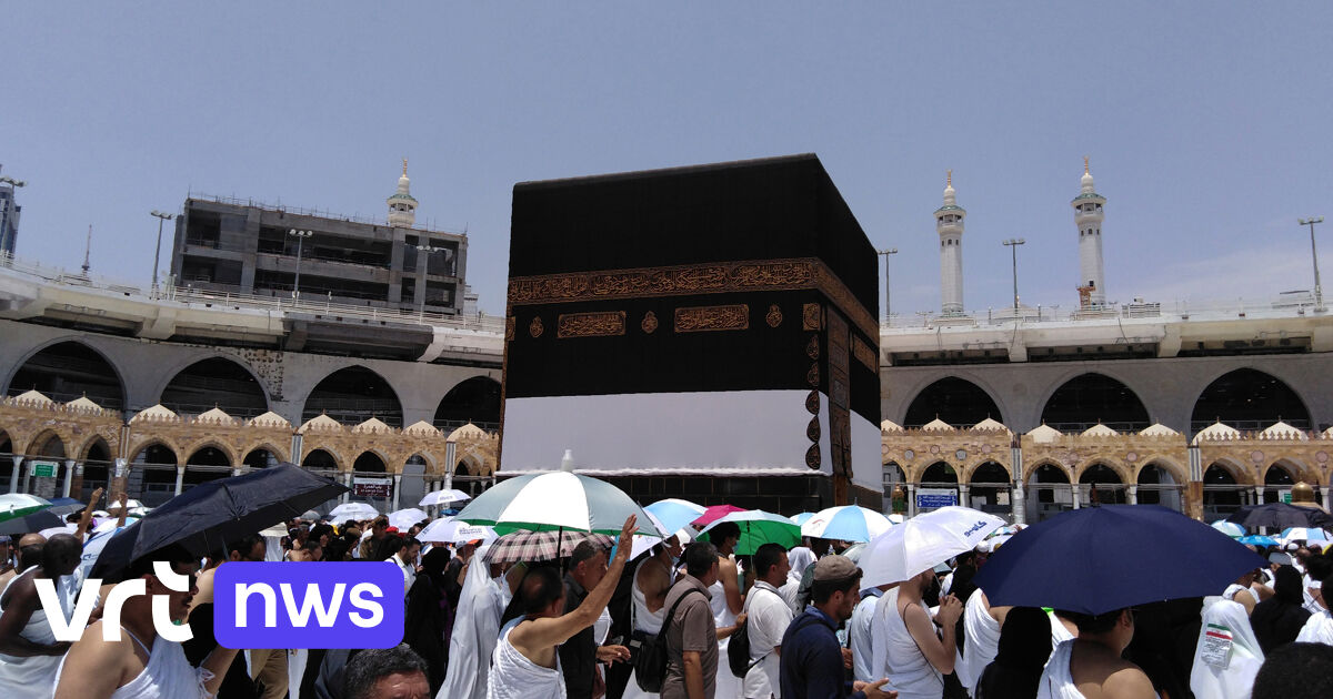 3,000 Belgians do the Hadj | VRT NWS: news
