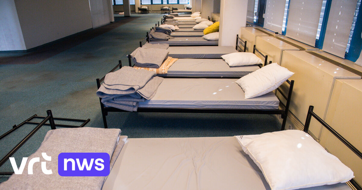 Homeless shelters receiving more women and youngsters | VRT NWS: news