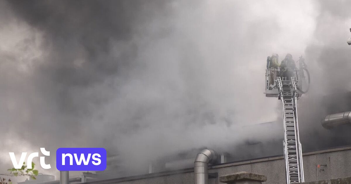 Fire broke out in Umicore factory in Antwerp | VRT NWS: news