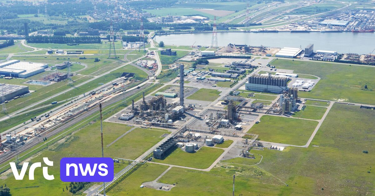 Plastic is big business: Borealis investeert 1 miljard in nieuwe ...